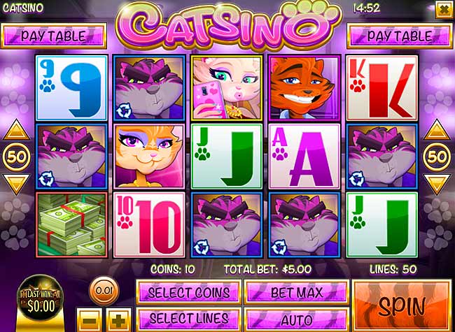 Catsino Video Slot | read the review of the new Rival Gaming video slot ...